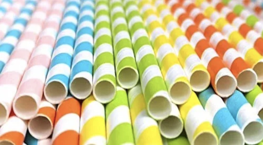 Study Finds Paper Straws Contain Toxic Chemicals | Patriot's Daily Digest